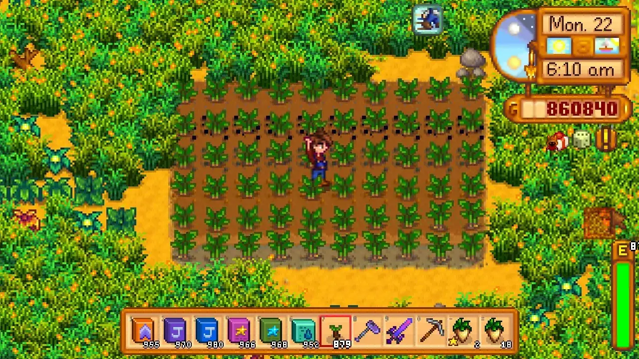 Stardew Valley Mods