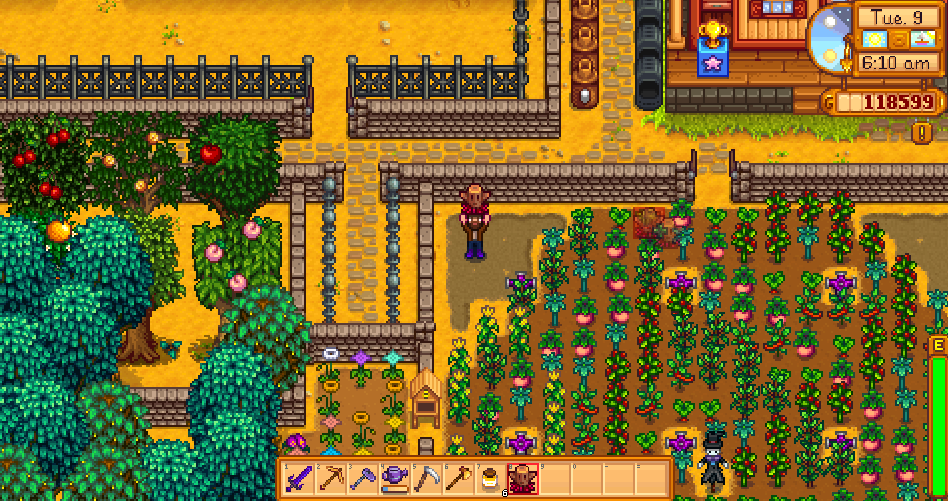Stardew Valley Mods